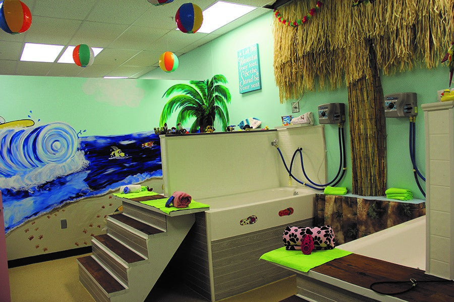 Spa Day at Furry Friends Inc. Colorado Springs